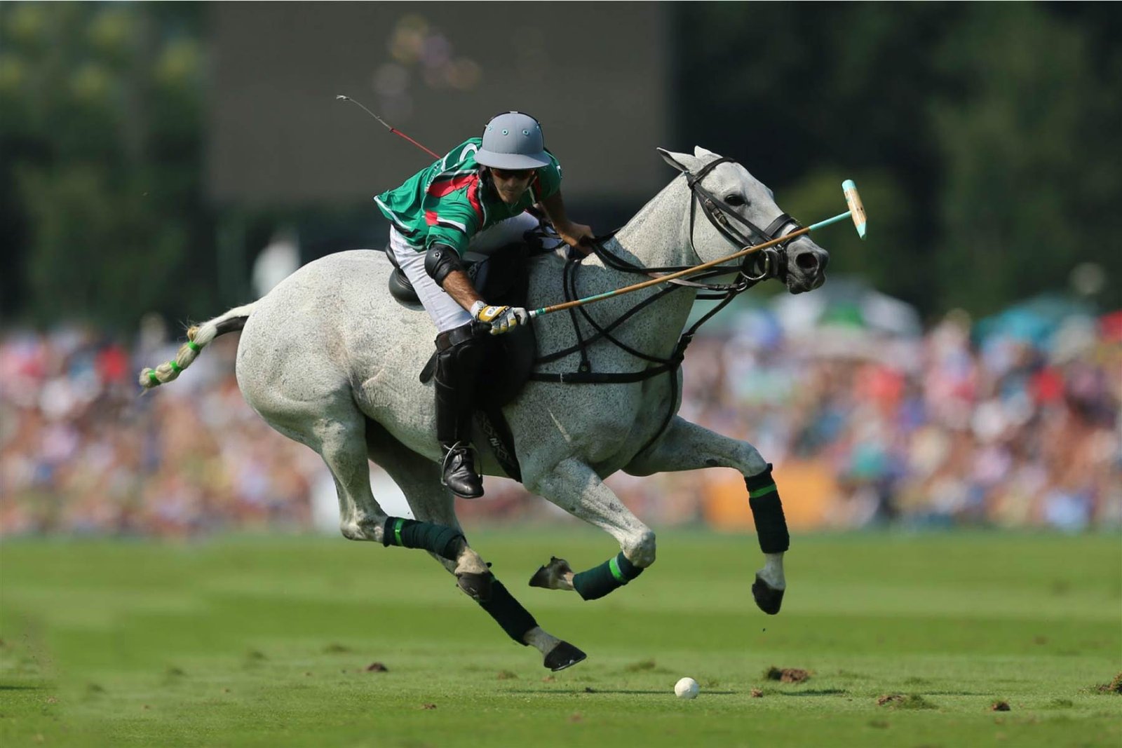 Home - Ona Polo - Adding Performance to your Game